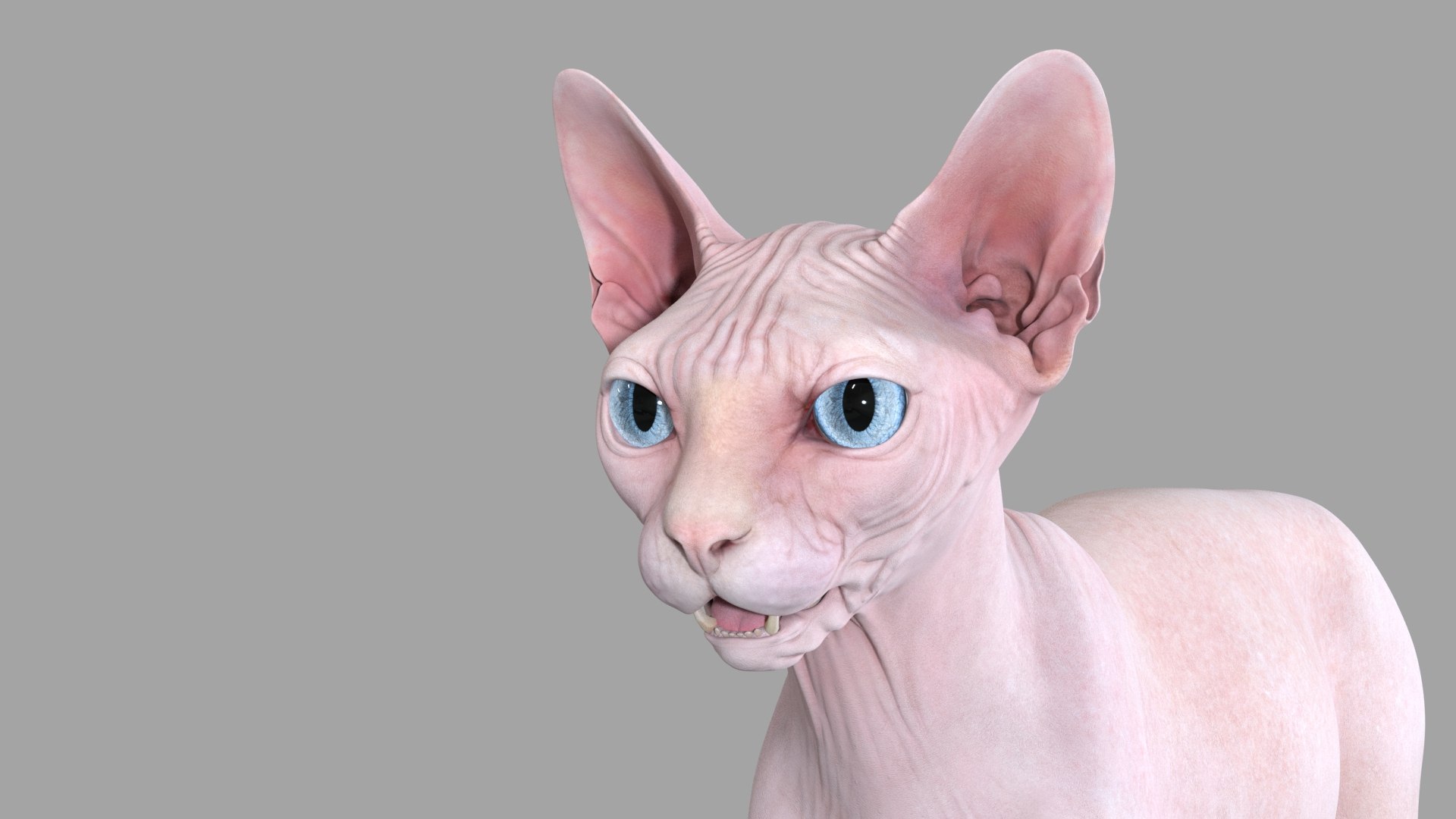 3D Sphynx Cat Pink - TurboSquid 1716367