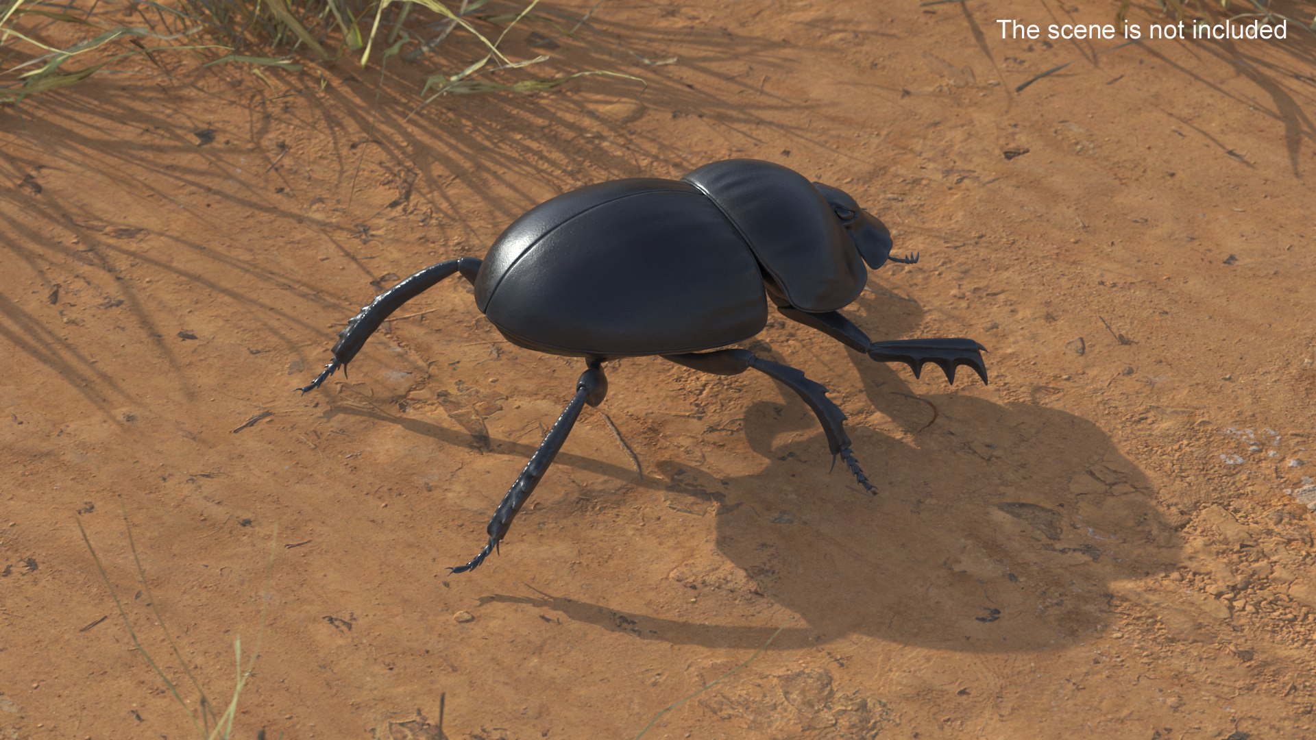3D Dung Beetle Standing - TurboSquid 2297130