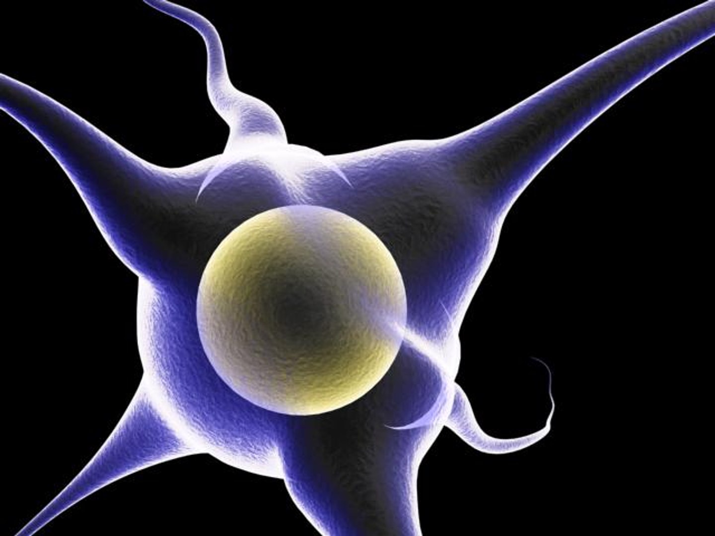 Max Nerve Cell