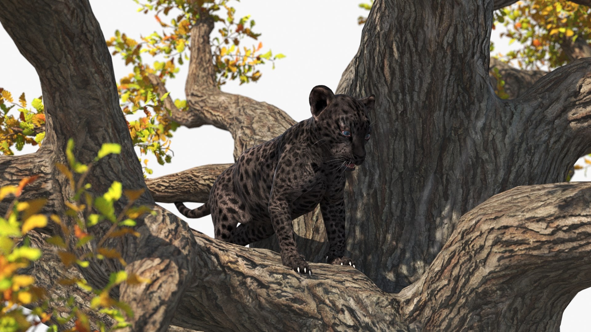Black Leopard Cub On Ancient Twisted Tree Model - TurboSquid 2348837