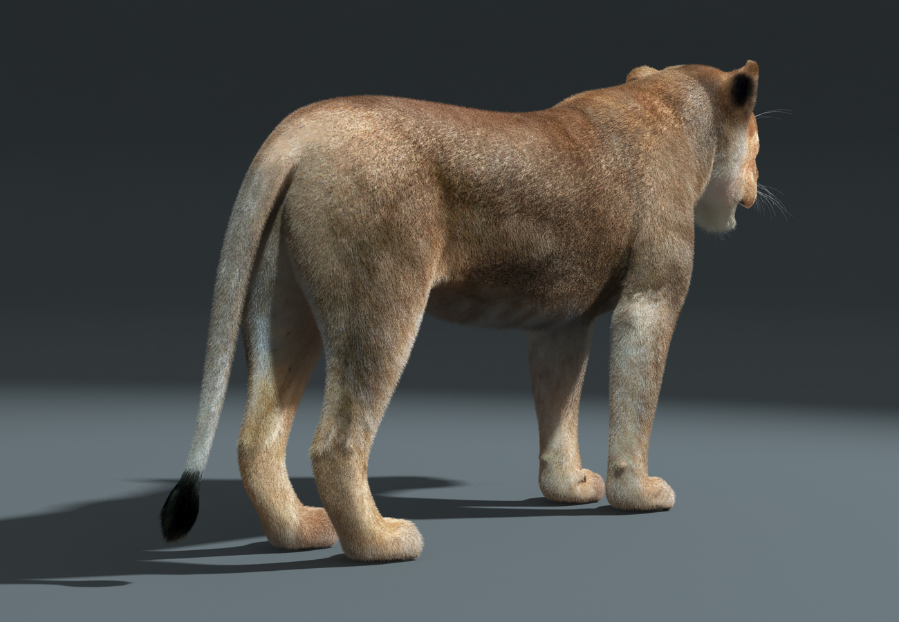 lioness fur animation 3d max