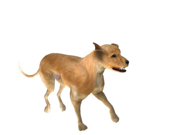 modelo 3d Paquete de animación para perros de MIXAMO - TurboSquid 584645