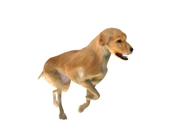 MIXAMO의 개 애니메이션 패키지 3D 모델 - TurboSquid 584645