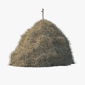3D Hay Models | TurboSquid