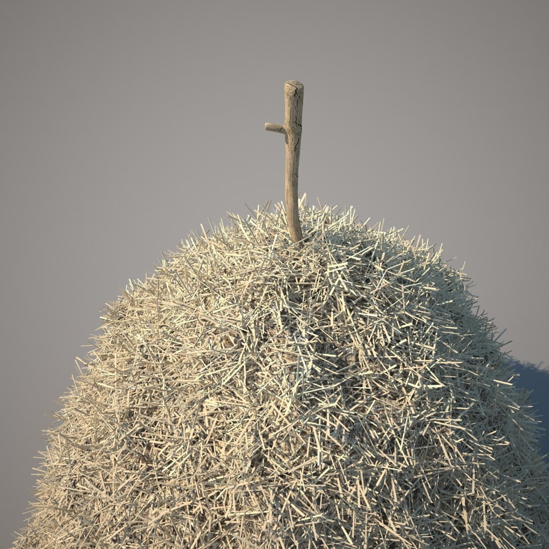 3d Model Hay Stack