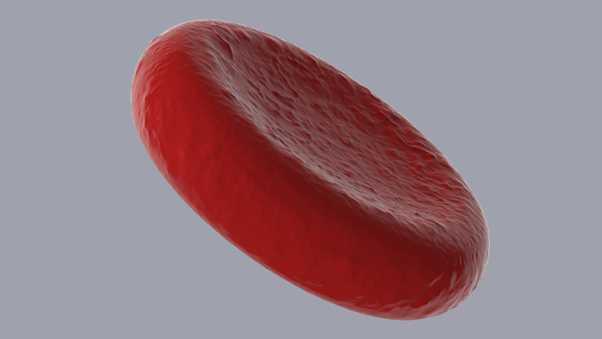 Erythrocyte Blood Cell 3D model - TurboSquid 2130056
