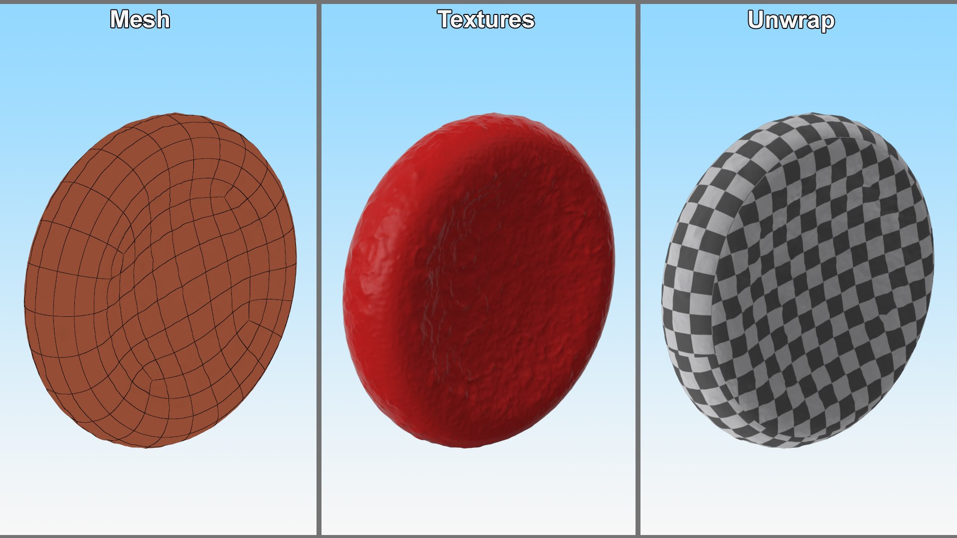 Erythrocyte Blood Cell 3D model - TurboSquid 2130056