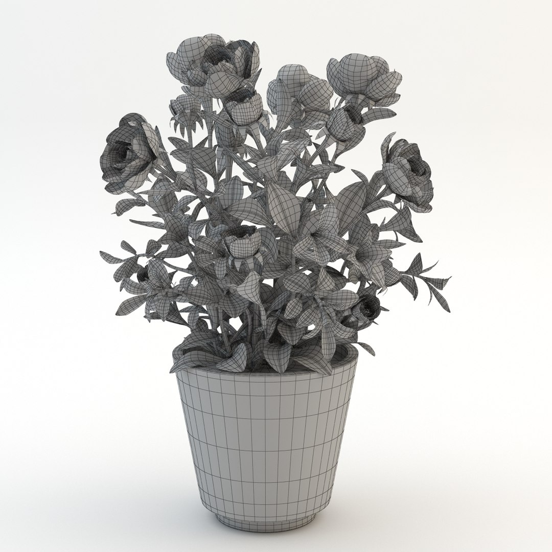 flowers pot model