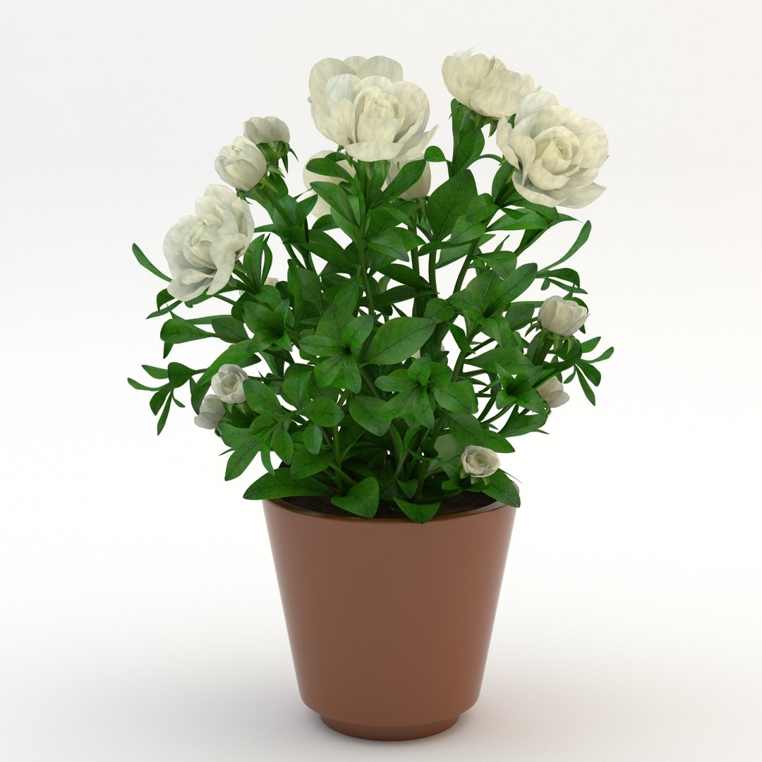 flowers pot model