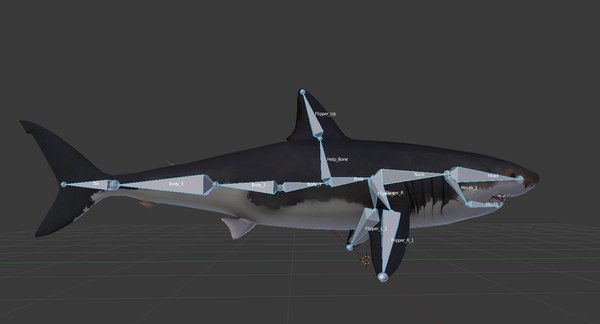 realistic rigged great white 3d model