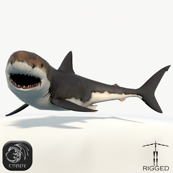 Great White Shark Blender Models for Download | TurboSquid