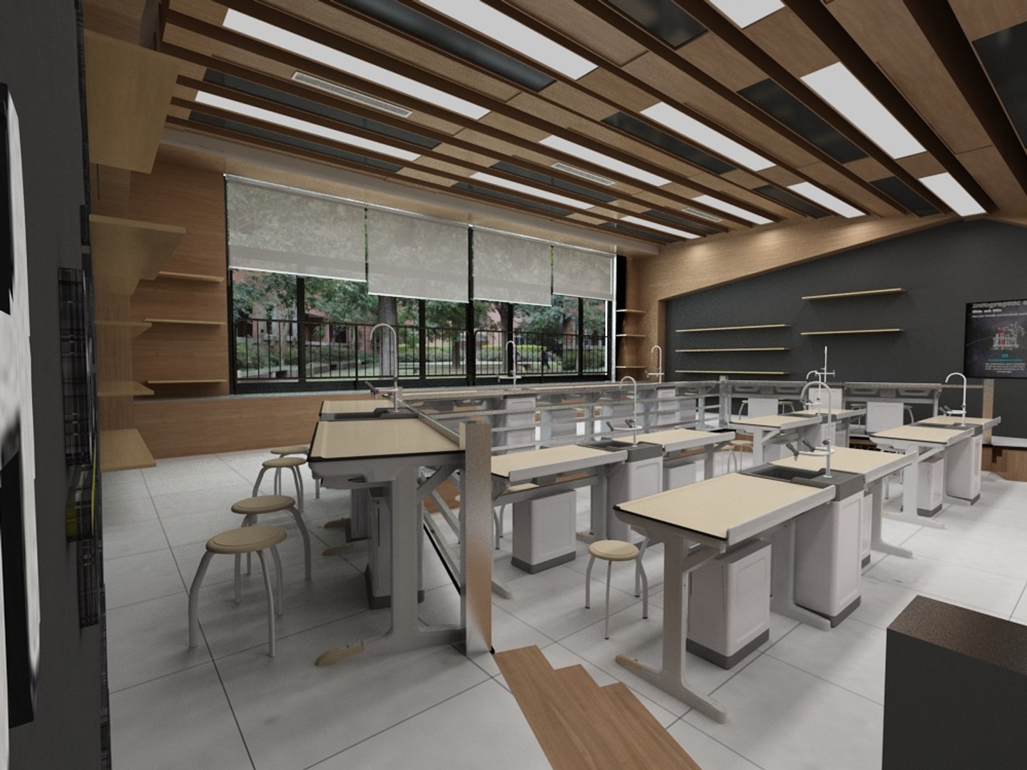 3D Model Classroom Biology - TurboSquid 1698988