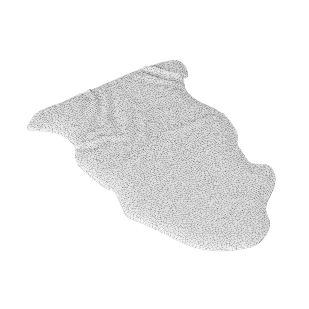 3D model Animal skin rug 03 - TurboSquid 1775128