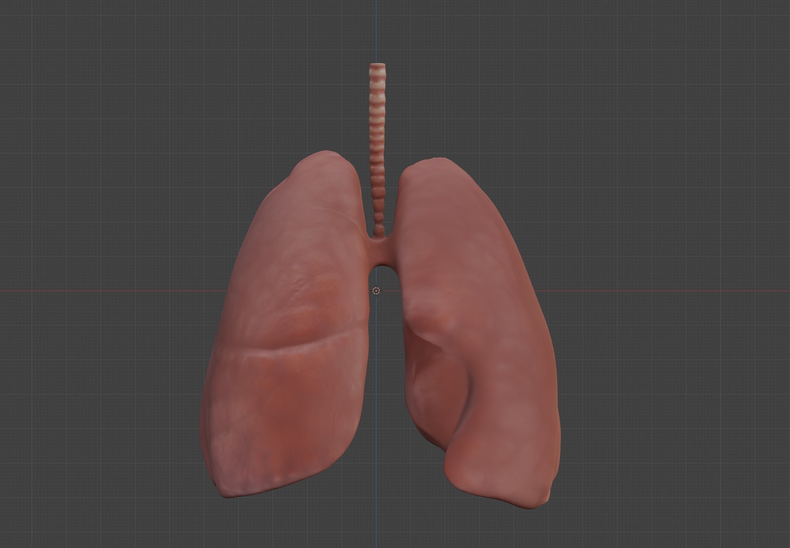 Lungs 3D Model - TurboSquid 2261425