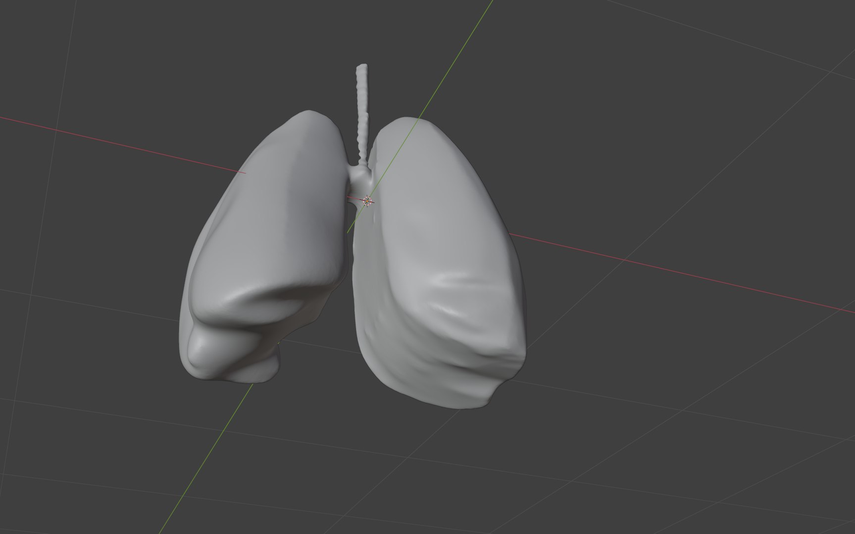 Lungs 3D Model - TurboSquid 2261425