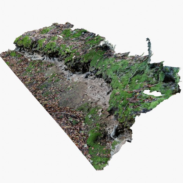 Blender Forest Models | TurboSquid