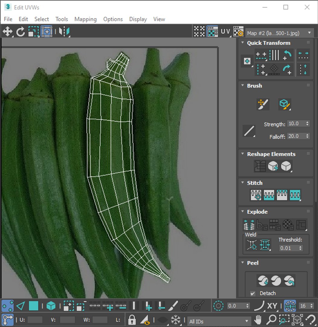 Okra 3D Model - TurboSquid 1894098