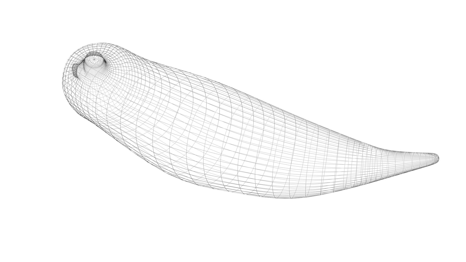 Okra 3D Model - TurboSquid 1894098