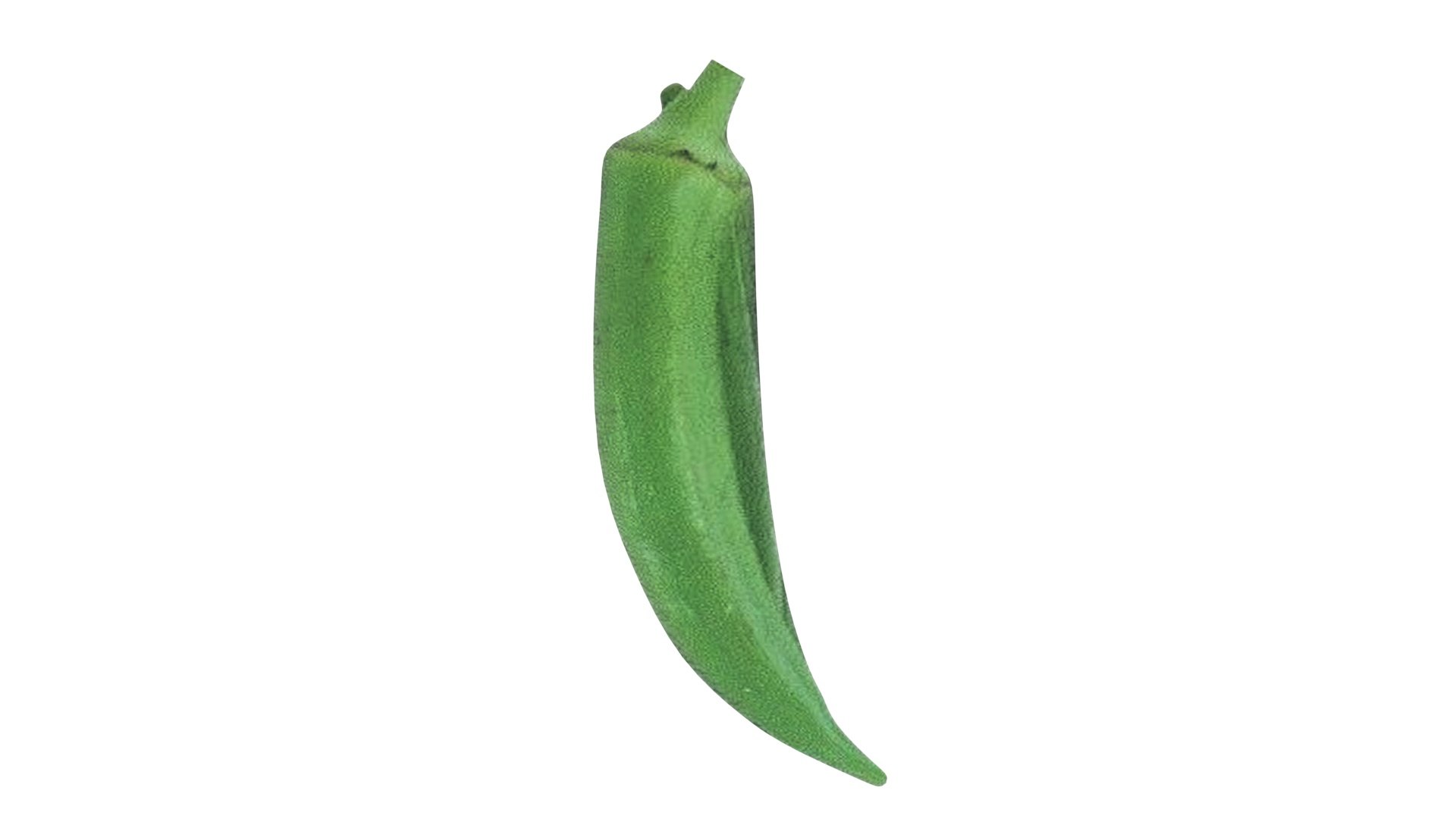 Okra 3D Model - TurboSquid 1894098