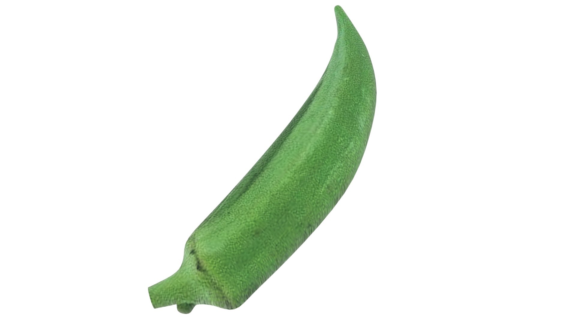 Okra 3D Model - TurboSquid 1894098