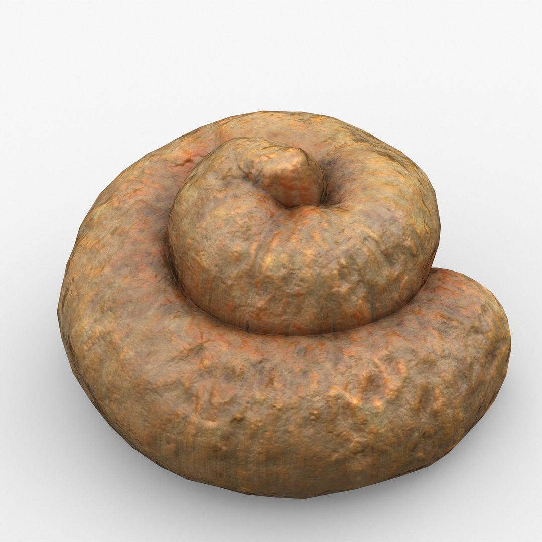 3D Feces Model - TurboSquid 1798410