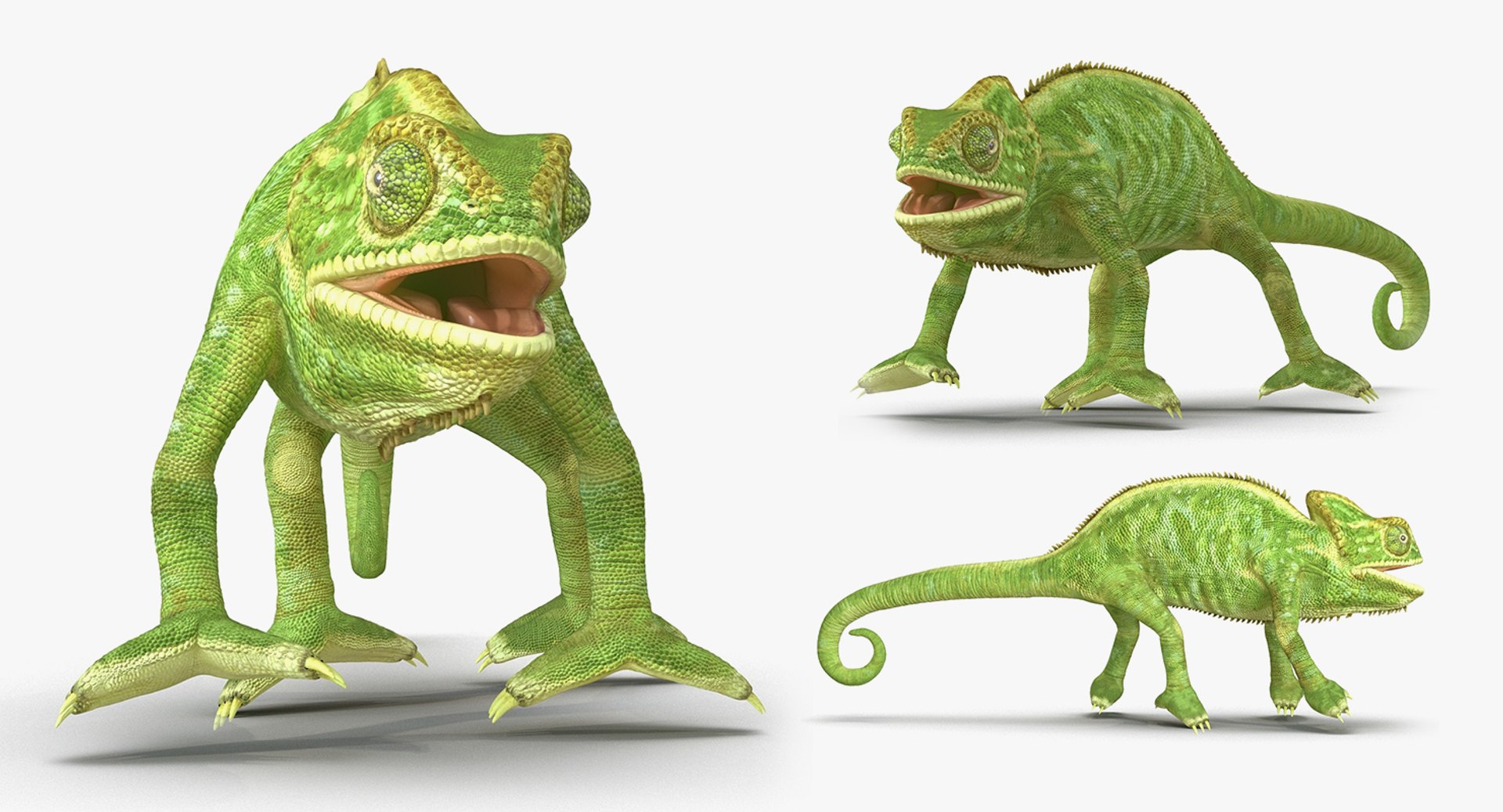 3D Lizards 2 Model - TurboSquid 1199571