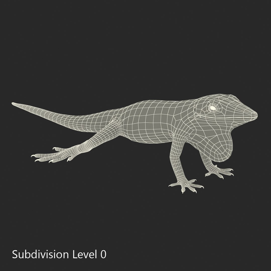 3D Lizards 2 Model - TurboSquid 1199571