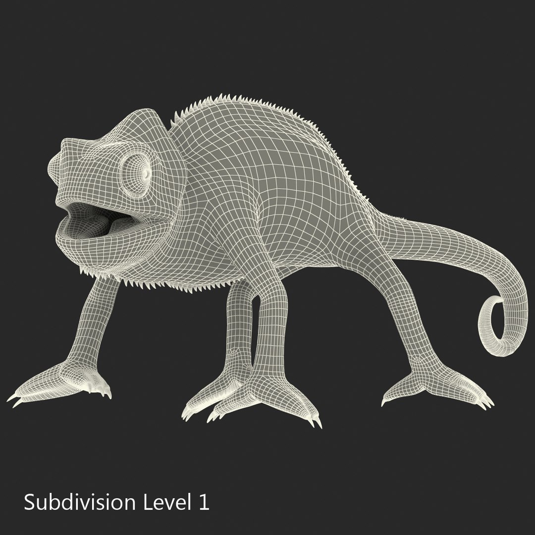 3D lizards 2 model - TurboSquid 1199571