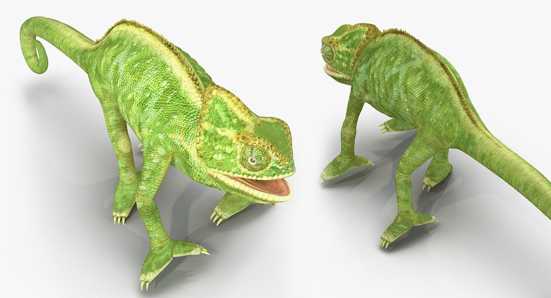 3D Lizards 2 Model - TurboSquid 1199571
