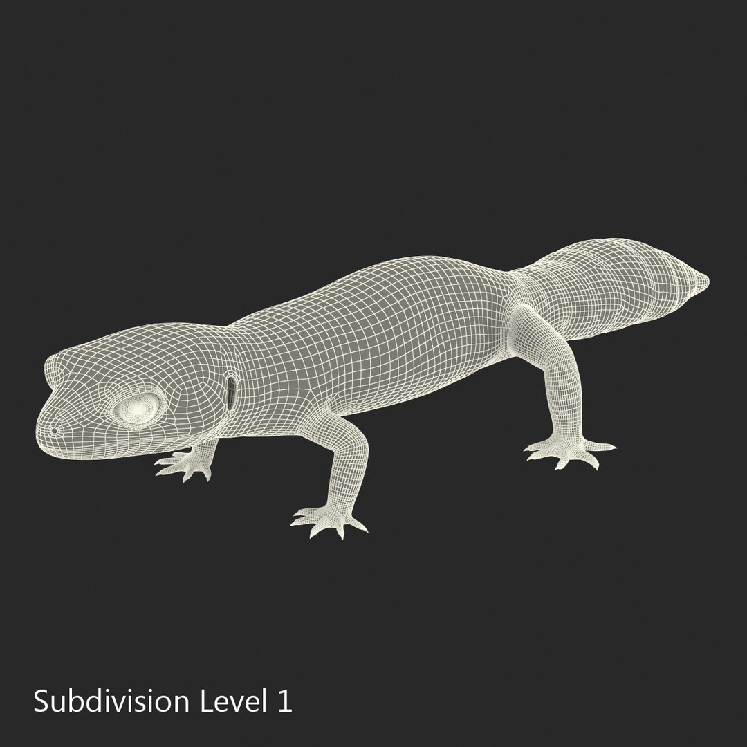 3D lizards 2 model - TurboSquid 1199571
