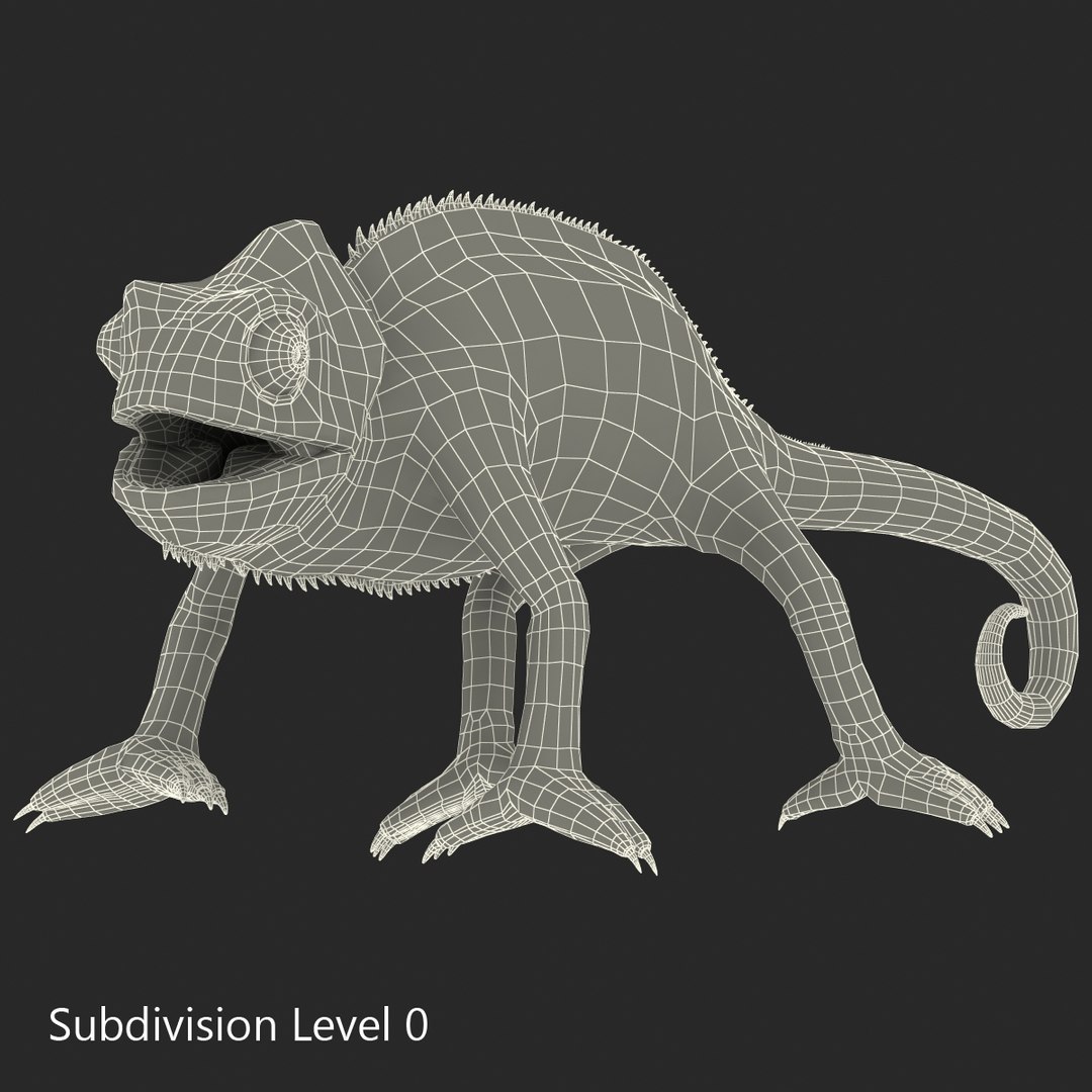 3D lizards 2 model - TurboSquid 1199571