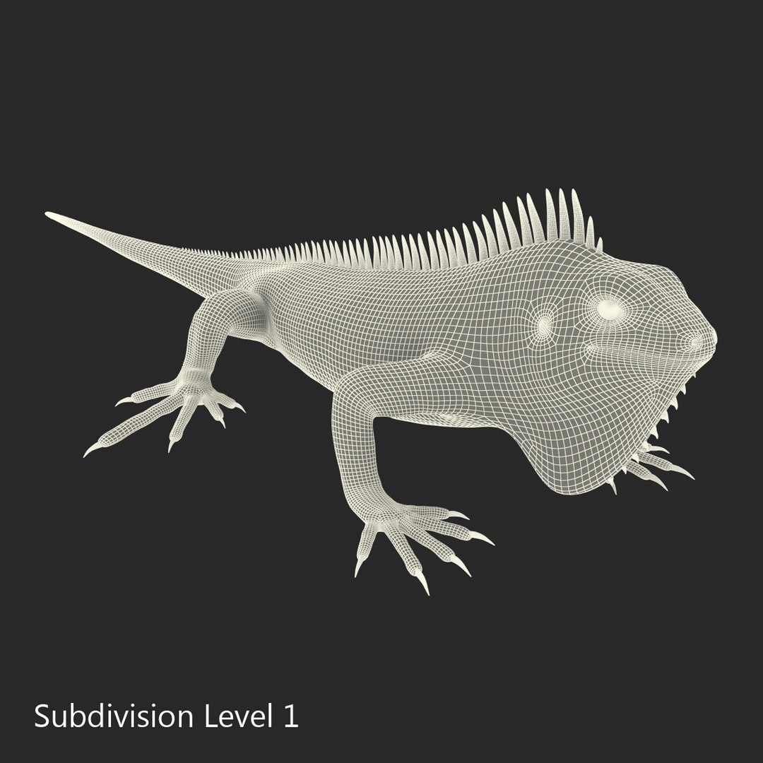 3D Lizards 2 Model - TurboSquid 1199571