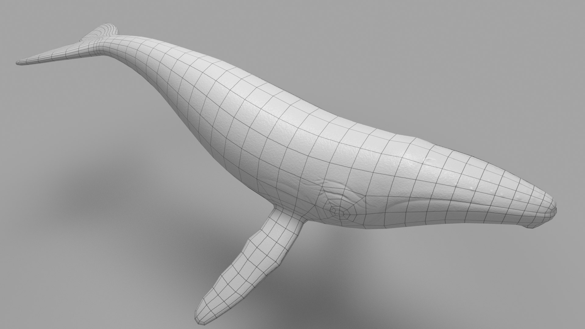 3D Model Humpback Whale - TurboSquid 1931721