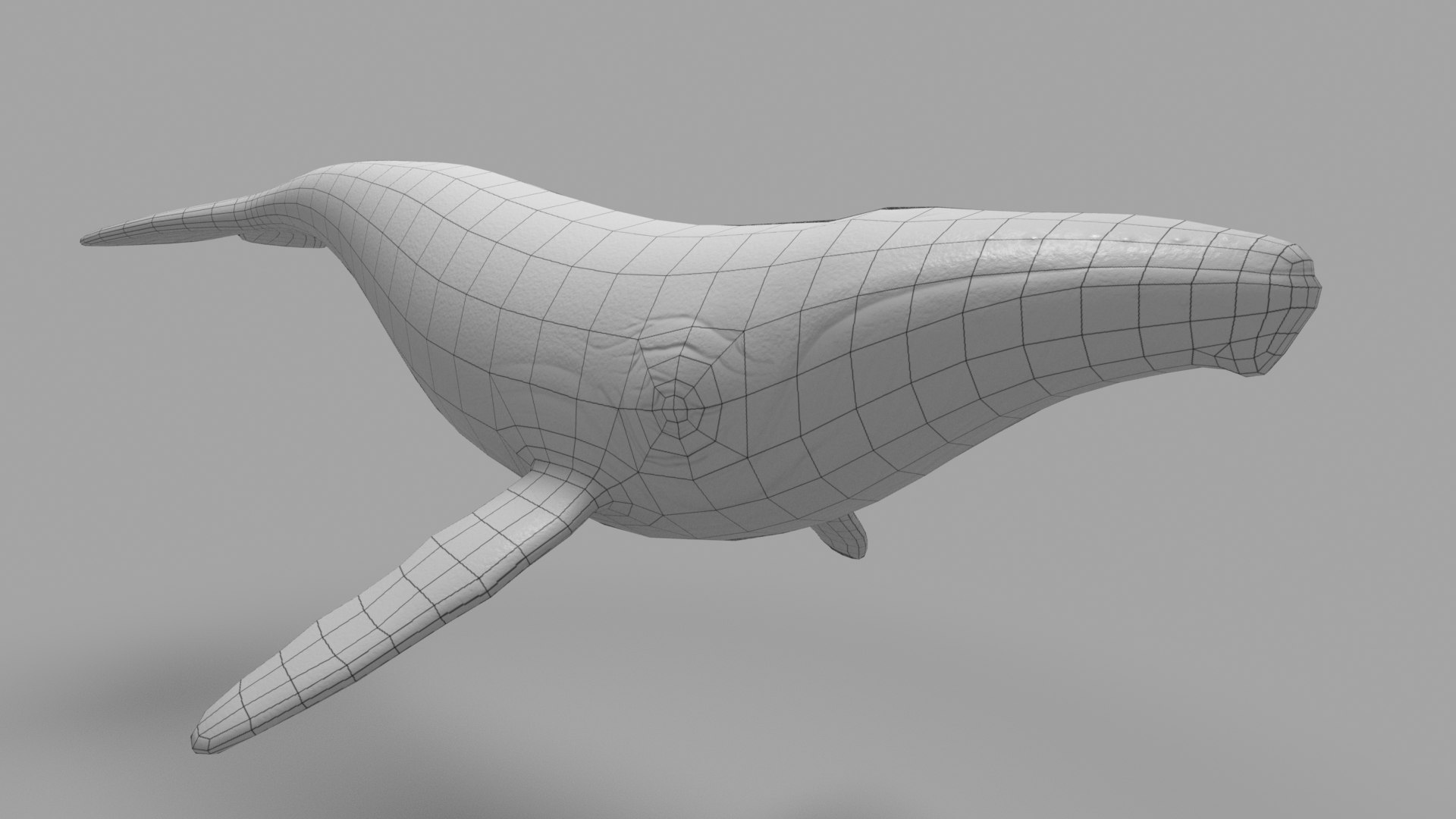 3D Model Humpback Whale - TurboSquid 1931721