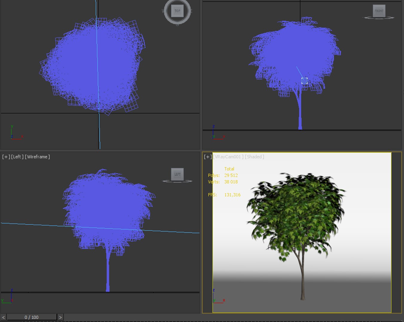 3D Red Maple Tree - TurboSquid 1396546