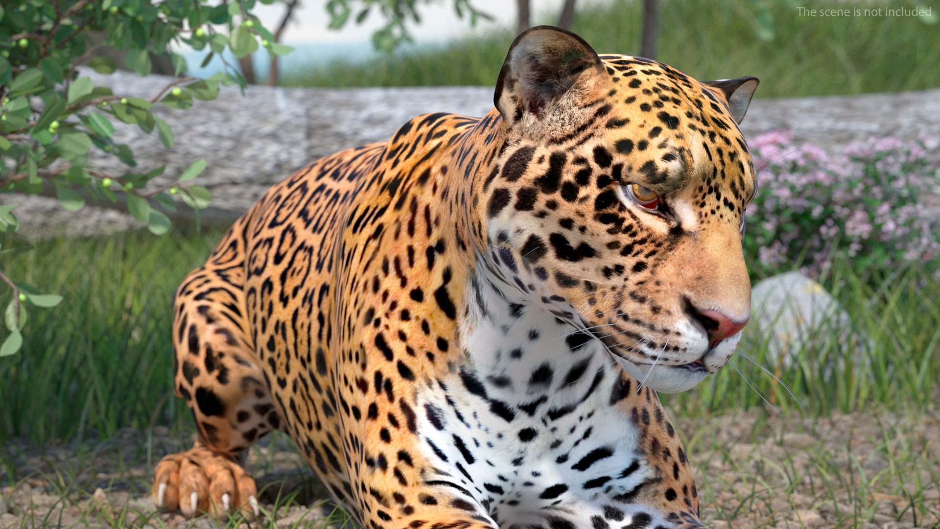 Jaguar Lying Down 3D Model - TurboSquid 2217602