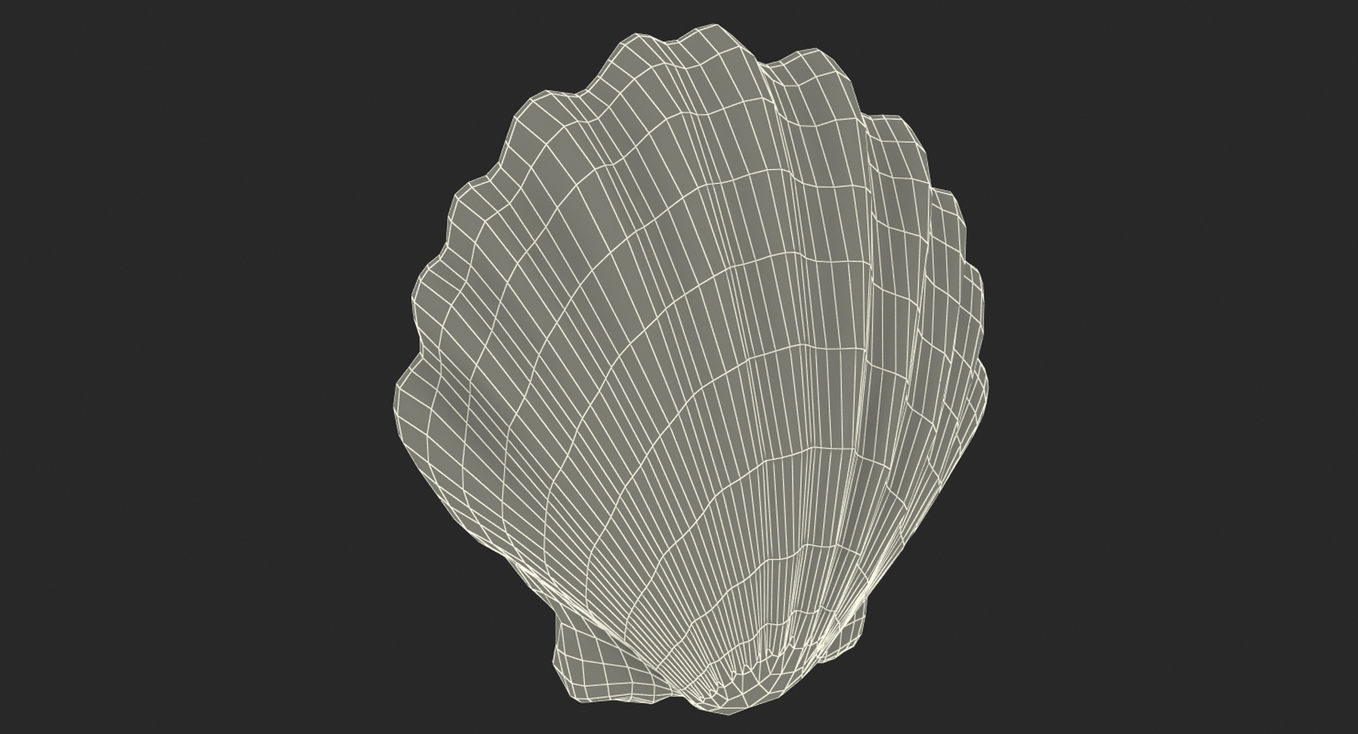 3D Sea Shells Collection 6 model - TurboSquid 2139718