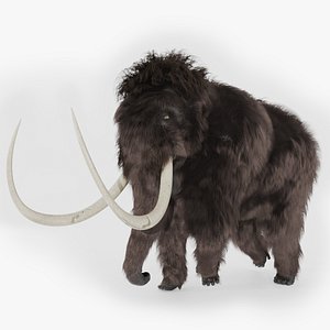 Free 3D Animal Rig Models - Available For Download On TurboSquid