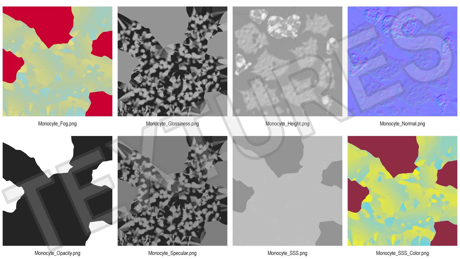 Monocyte Blood Cell Model - TurboSquid 2130062