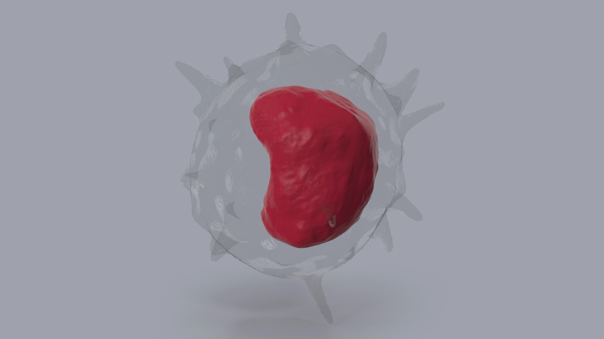 Monocyte Blood Cell model - TurboSquid 2130062