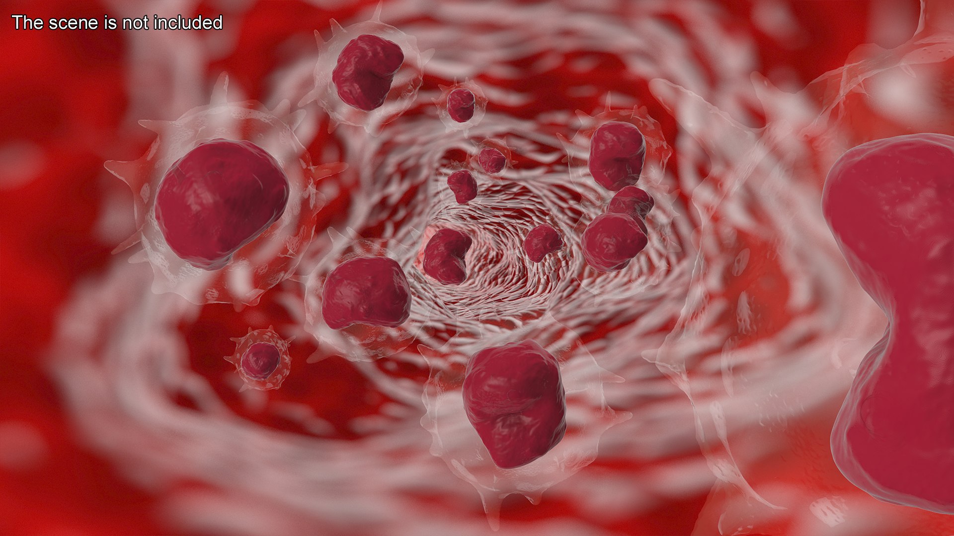 Monocyte Blood Cell Model - TurboSquid 2130062