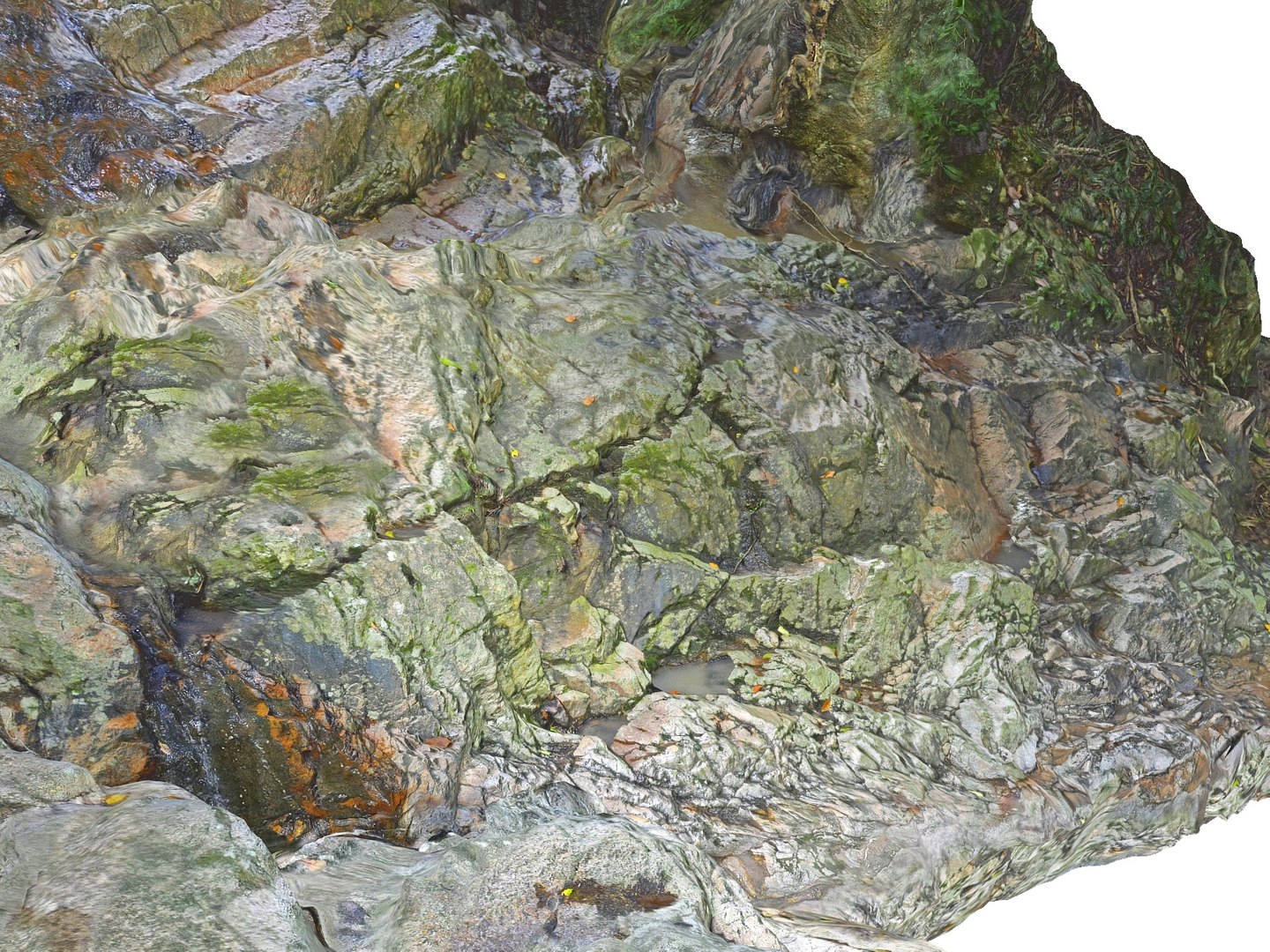 3D Jungle Rock Ground 16k - TurboSquid 1277642