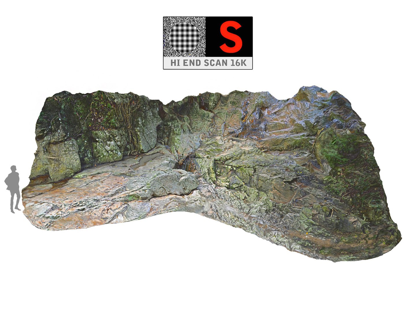 3D Jungle Rock Ground 16k - TurboSquid 1277642