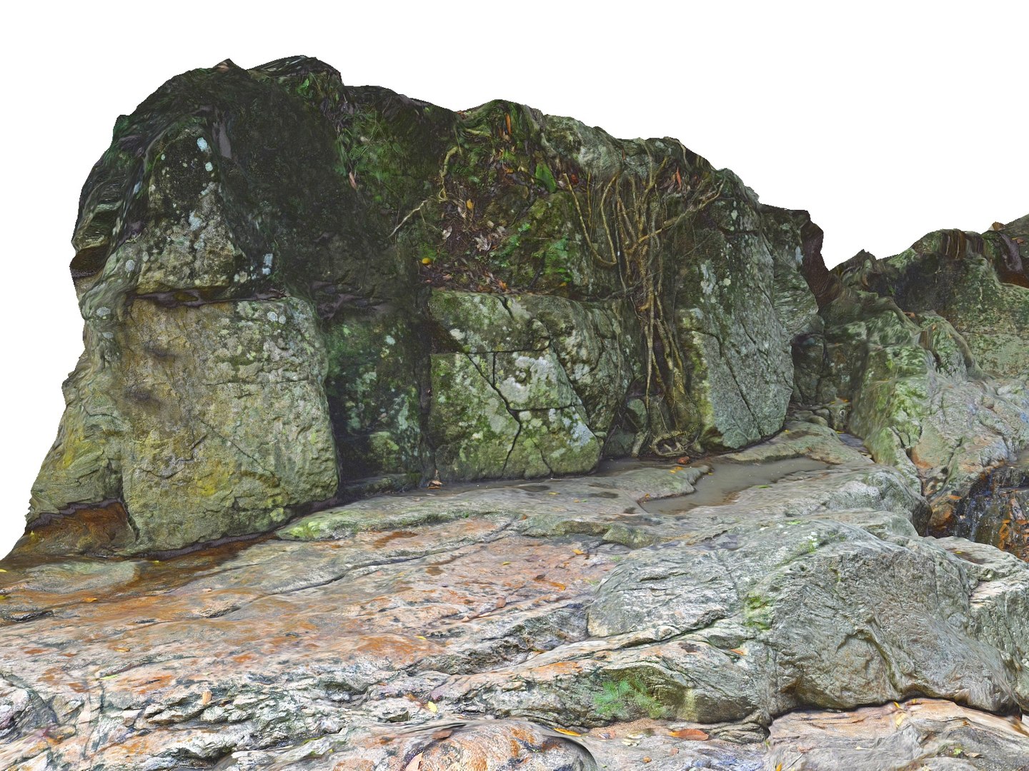 3D Jungle Rock Ground 16k - TurboSquid 1277642