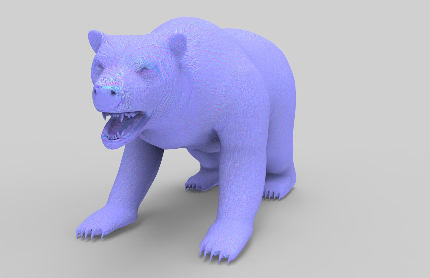 Bear Rigged 3D Model - TurboSquid 1254552