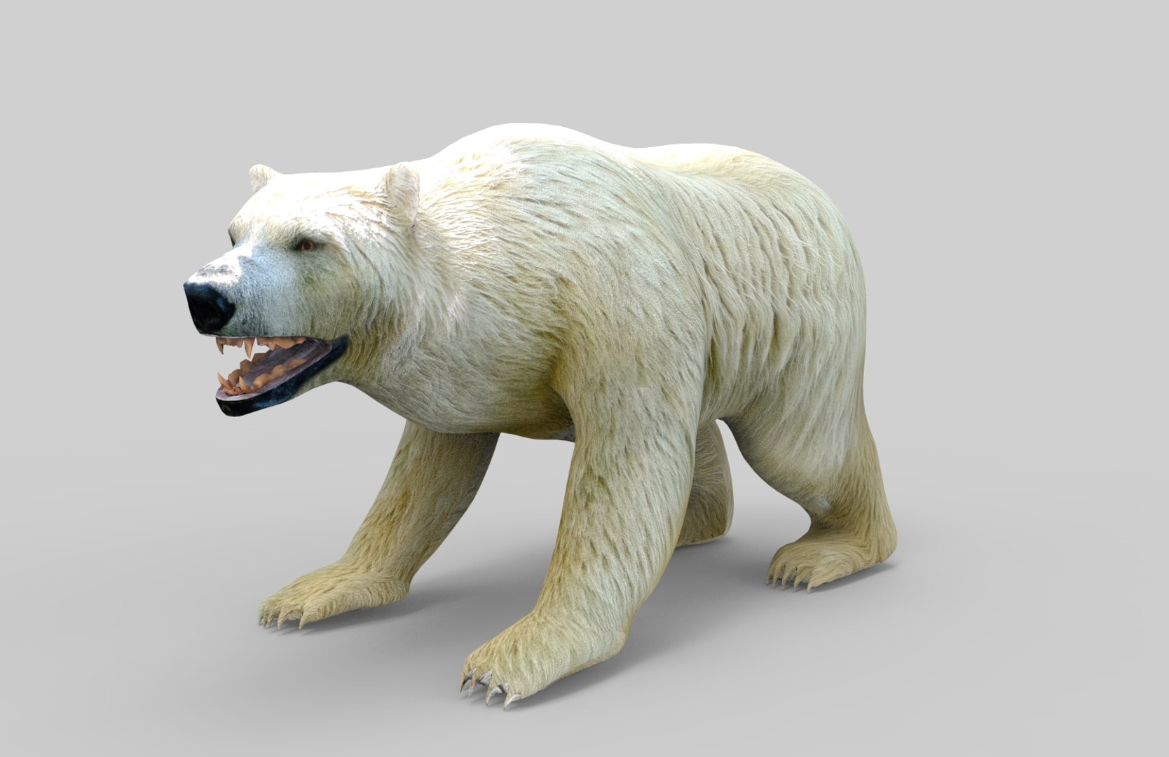 Bear Rigged 3D Model - TurboSquid 1254552