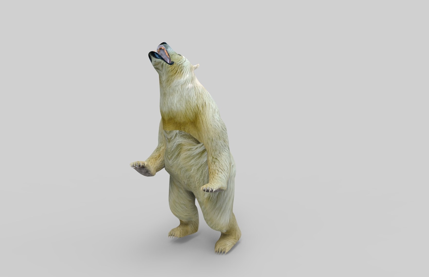 Bear Rigged 3D Model - TurboSquid 1254552