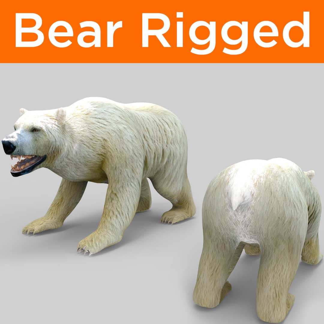 Bear Rigged 3D Model - TurboSquid 1254552