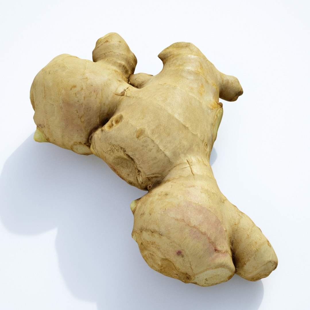 3D Ginger Root - TurboSquid 1445333