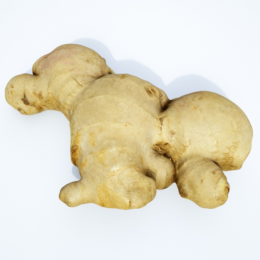 3D ginger root - TurboSquid 1445333